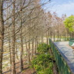 Nantou: Sun Moon Lake Combo - Authentic Experiences and What You Might Miss