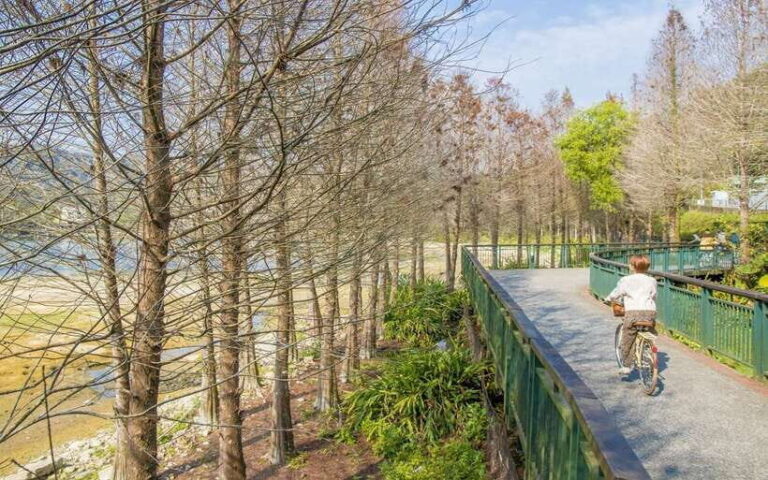 Nantou: Sun Moon Lake Combo - Authentic Experiences and What You Might Miss