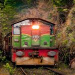 Nanu Oya to Kandy train ride on (Train No: 1016 "Udarata Menike") - What Travelers Say
