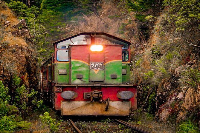 Nanu Oya to Kandy train ride on (Train No: 1016 "Udarata Menike") - What Travelers Say