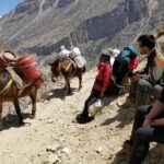 Nar Phu Valley Trek - 12 Days - Day 3: Dharapani to Koto (2600m)