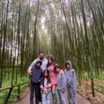 Nara and Kyoto Tour - What Sets This Tour Apart?