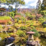 Nara: City Highlights Shared Group or Private Bike Tour - What’s Included and What’s Not