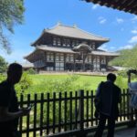 Nara City Tour | Explore Temples, Park & Local Highlights - The Charm of Nara Park and the Deer