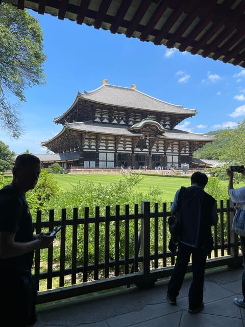 Nara City Tour | Explore Temples, Park & Local Highlights - The Charm of Nara Park and the Deer
