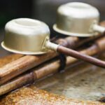 Nara Day Trip from Kyoto with a Local: Private & Personalized - The Experience of Traveling with a Local Guide