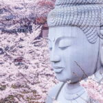 Nara: Discover a Giant Stone Buddha in the Forest Hills - Practical Details and Value
