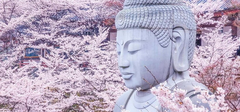 Nara: Discover a Giant Stone Buddha in the Forest Hills - Practical Details and Value