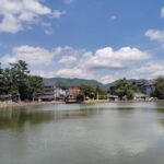 Nara: Half-Day Private Tour of 4 Must-See Spots & Deer Park - What Reviews Say