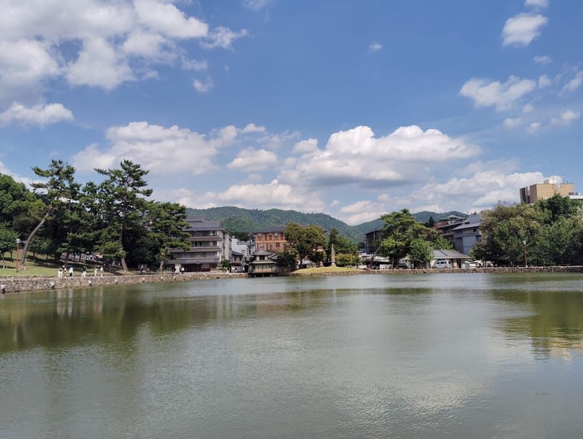 Nara: Half-Day Private Tour of 4 Must-See Spots & Deer Park - What Reviews Say