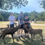 Nara Half Day Tour Discover Ancient Temples and Friendly Deer - Key Points