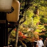 Nara Private Customizable Full Day Tour - What It Means for Travelers
