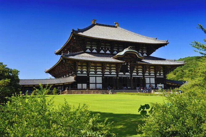Nara, Todaiji Temple & Kuroshio Market Day BUS Tour from Osaka - Who Will Love This Tour?