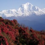 Natural Hot Spring Trek from Kathmandu - Transportation and Accommodation: What You Need to Know