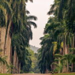 Nature and Fauna (9 Days) - What Travelers Will Love