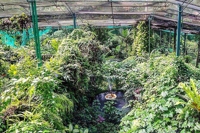 Nature And Gardens Tour From Kuala Lumpur All Entrance Included - Evaluating the Value: Is It Worth It?