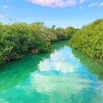 Nature Day, Sian Kaan Biosphere Tour! Round Transportation from Tulum City - Practical Tips for Travelers