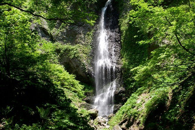 Nature tour around waterfalls that exudes from the beech forest Nishiwaga Town, Iwate Prefecture - Authentic Experiences and What Travelers Say