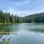 Nature Walk - Final Thoughts