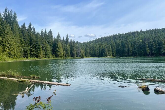 Nature Walk - Final Thoughts