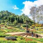 Nature Walk of Chandigarh( 2 Hours Walking Tour) - Why This Tour Is a Great Choice