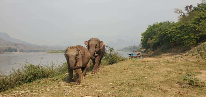 Nature wellness retreat - What to Expect: A Detailed Breakdown of the Experience