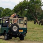 Nature & Wildlife - 10 Days Tour - What Travelers Say & Why It Matters