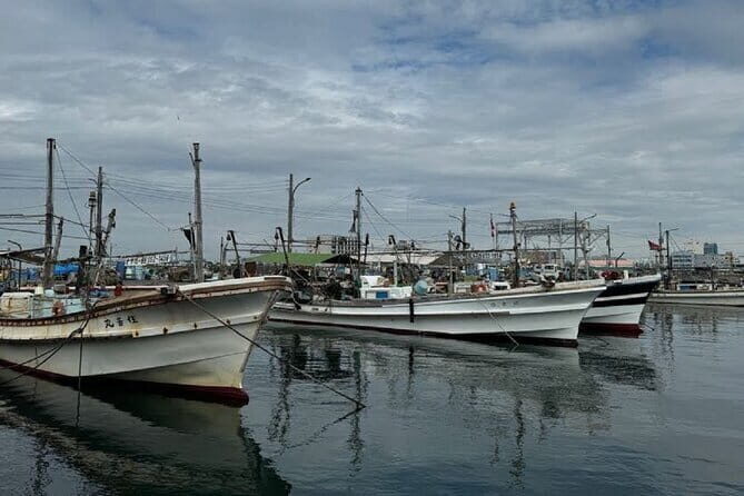 Near KIX Fishing Market Tour with Local Guide - Is the Value Worth It?