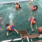 Negeri Sembilan: Dragon Sunset Cruise Ticket - The Sum Up