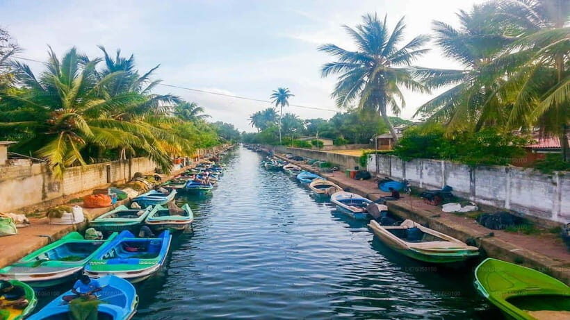 Negombo City : Explore the Fish Market & Dutch Canal by Boat - Logistics and Practicalities