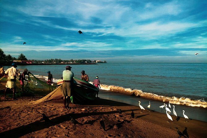 Negombo Day Tour - Transportation and Group Size