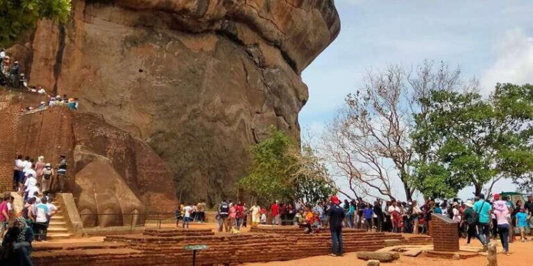 Negombo: Sigiriya Rock and Minneriya National Park Day Tour - Behind the Scenes: What Makes This Tour Stand Out