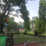 Nepal 5 Day: Pokhara City Tour, Paragliding & Himalayan Hike - Day 2: Paragliding & a Guided City Tour