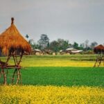 Nepal Highlights Tour - 8 Days - Discovering the Heart of Kathmandu