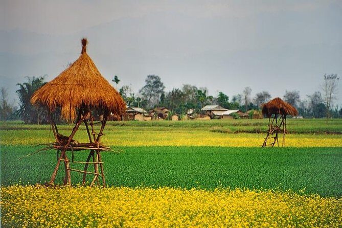 Nepal Highlights Tour - 8 Days - Discovering the Heart of Kathmandu