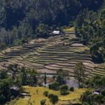 Nepal Round Tour with Annapurna Trek 14 Days - Authenticity and Practicality