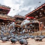Nepal World Heritage Sites Private Guided Tour - The Value for the Price