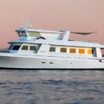 Nerissa Sounds: Live Jazz Brunch Cruise on San Diego Bay - What Travelers Can Expect