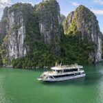 New 5 Star Sea Lion Cruise to Halong Bay from Hanoi with Buffet - Final thoughts