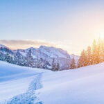 New Fiat 500X (SUV) Rental (all day) - Venturing Beyond Florence: Tuscany’s Hidden Gems