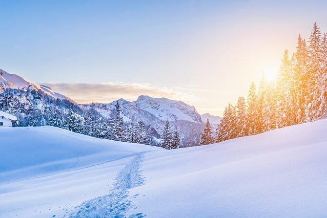 New Fiat 500X (SUV) Rental (all day) - Venturing Beyond Florence: Tuscany’s Hidden Gems