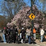 New York: Central Park Premium Bike Rental - Analyzing the Value