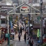 Nezu Shrine and Yanaka backstreet walking tour by Storyteller - Who Should Consider This Tour?