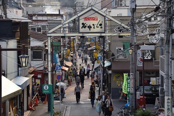 Nezu Shrine and Yanaka backstreet walking tour by Storyteller - Who Should Consider This Tour?