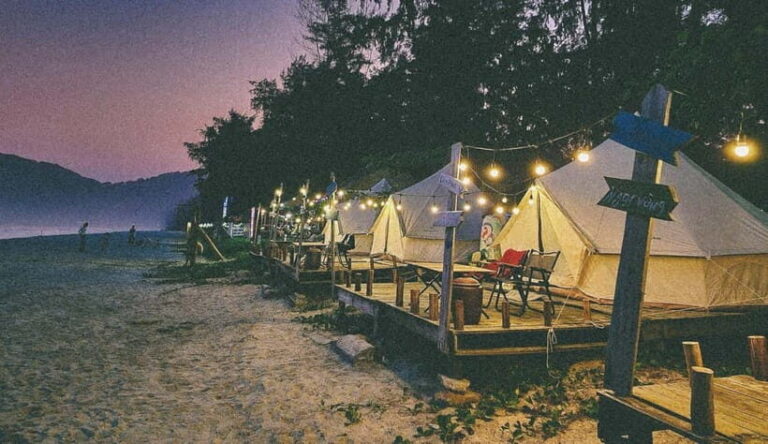 Ngoc Vung to A La Carte Ha Long  3D2N of Pure Bliss - What Makes This Tour Stand Out?