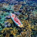 Nha Trang City Sightseeing Tour: Nha Phu Bay, Monkey Island - Transportation & Group Dynamics