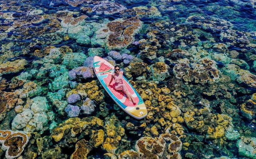 Nha Trang City Sightseeing Tour: Nha Phu Bay, Monkey Island - Transportation & Group Dynamics