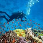 Nha Trang Diving at Mun Island full day tour - Transportation and Group Size