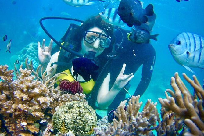 Nha Trang Happy Boat Trip Included Floating Bar And Lunch - Who Would Love This Trip?