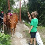 Nha trang Highlights - Practical Details: What You Should Know